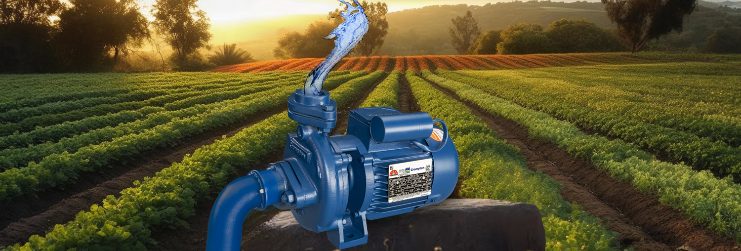 Explore 3 Common Types of Agricultural Pumps | Crompton