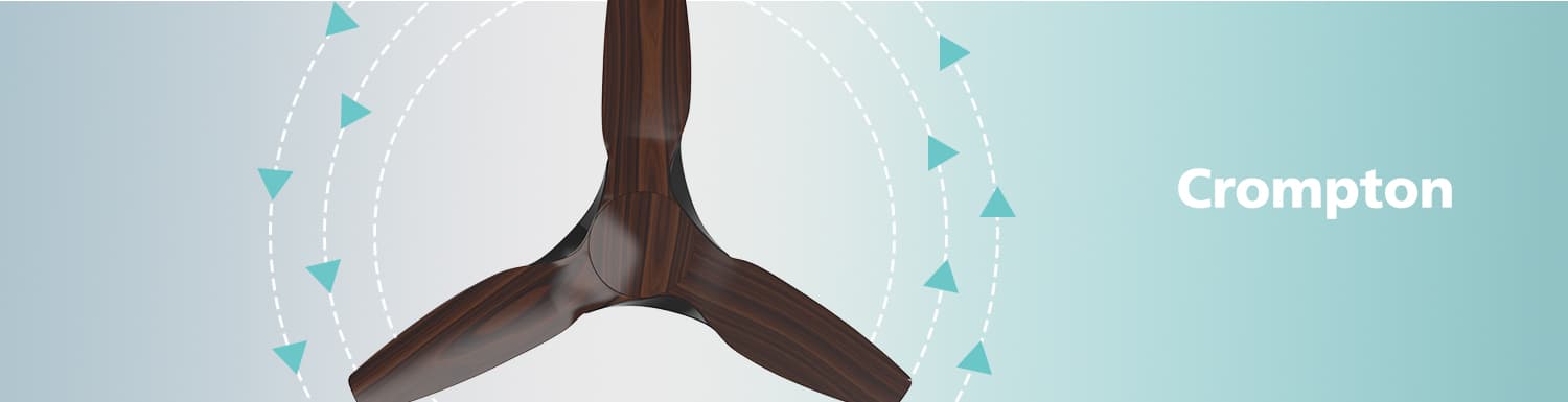 Why Do Ceiling Fans Rotate Anticlockwise? | Crompton