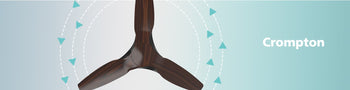 Why Do Ceiling Fans Rotate Anticlockwise? | Crompton