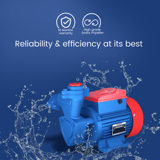 Buy MINI MASTER I - Mini Self Priming Regenerative Pump 1 HP Mini ...
