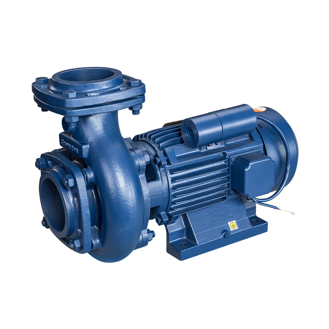 Buy 2 HP Water Pump Online at Best Prices in India | Crompton