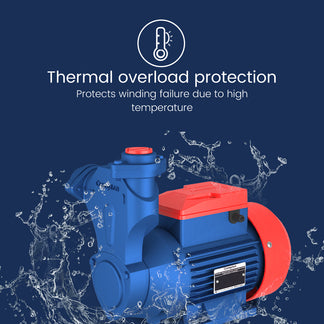 Buy MASTER PLUS I - Mini Self Priming Regenerative Pump 1 HP Mini ...