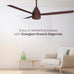Crompton Energion Groove Regmote BLDC Ceiling Fan: Shop Crompton ...