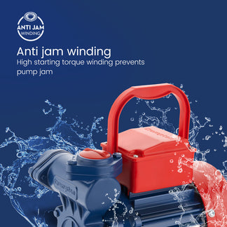 Buy CHAMP PLUS I - Mini Self Priming Regenerative Pump 1 HP Mini Online ...